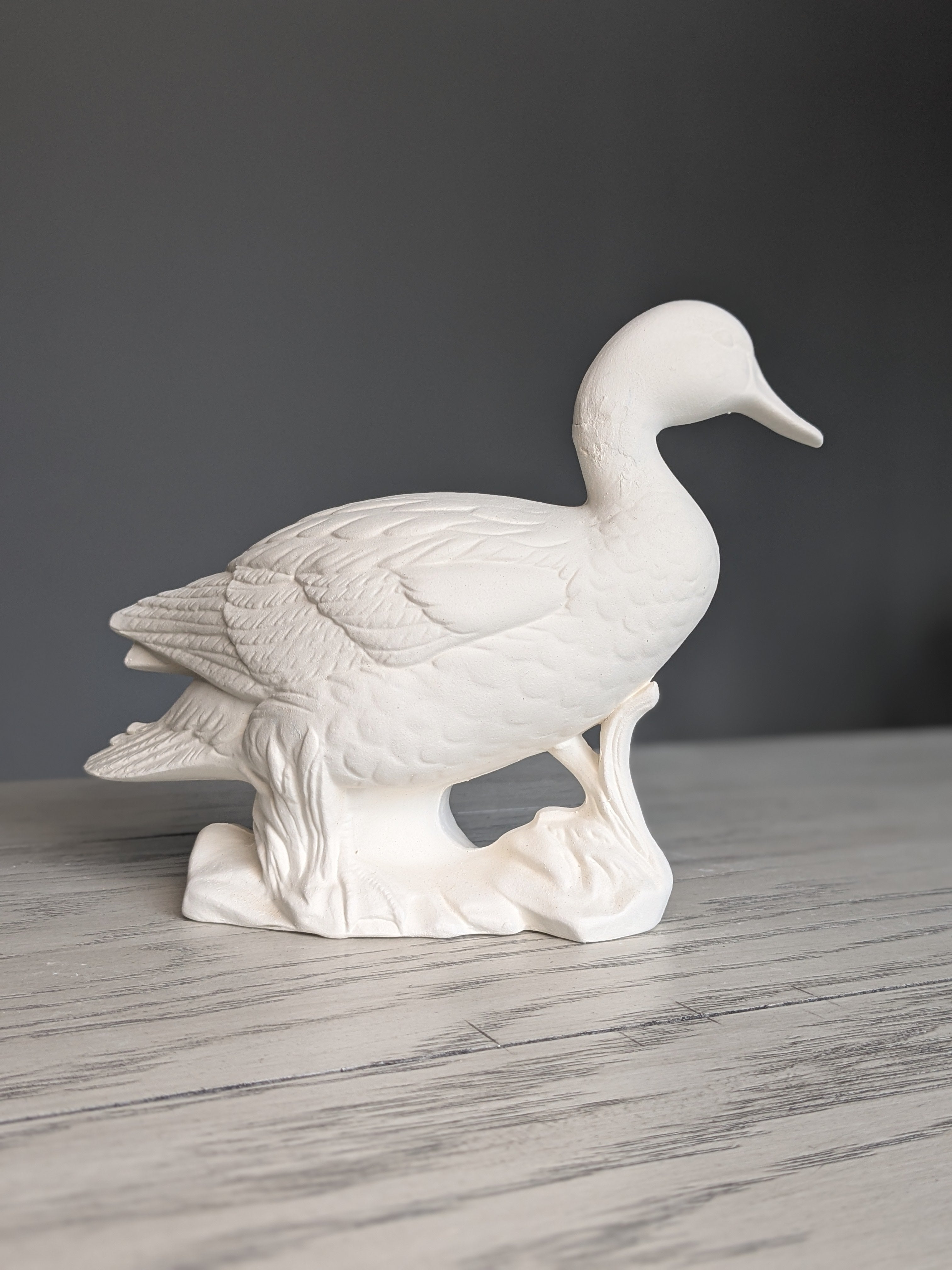 Large Duck | Rise and Design Art Studio